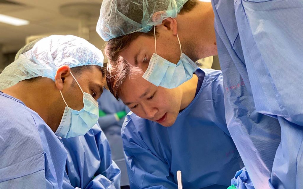 Minimally invasive cardiotharic surgery - The human cadaver course ...